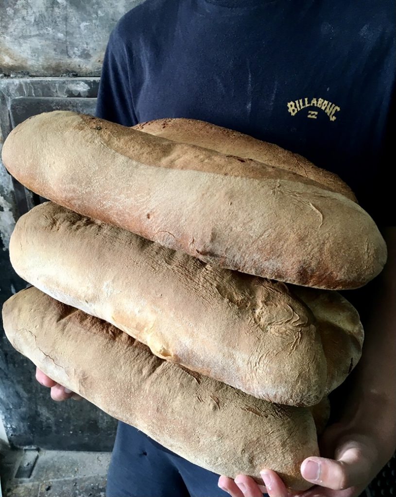 Nuestros productos - Puente Asnil